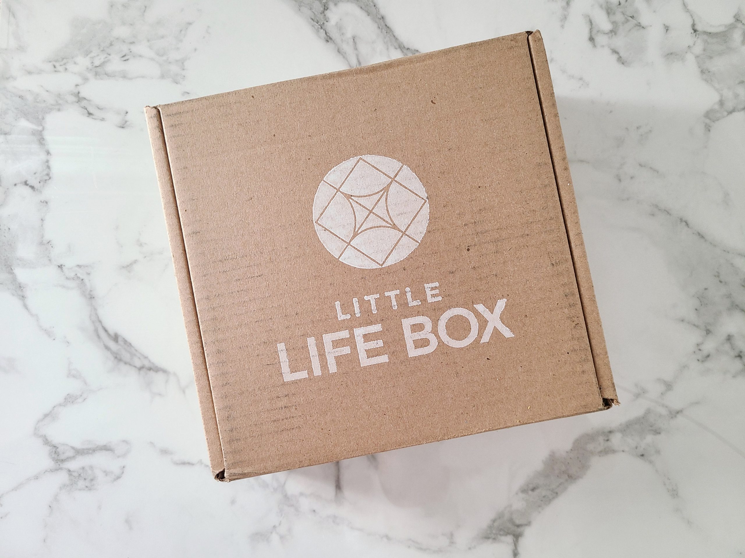 A Year of Boxes™ | Little Life Box Review Summer 2022 - A Year of Boxes™
